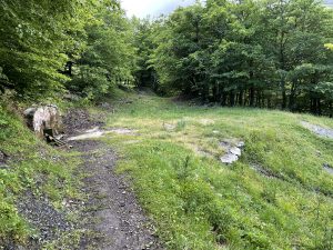 Río Nalón - Revista KM77